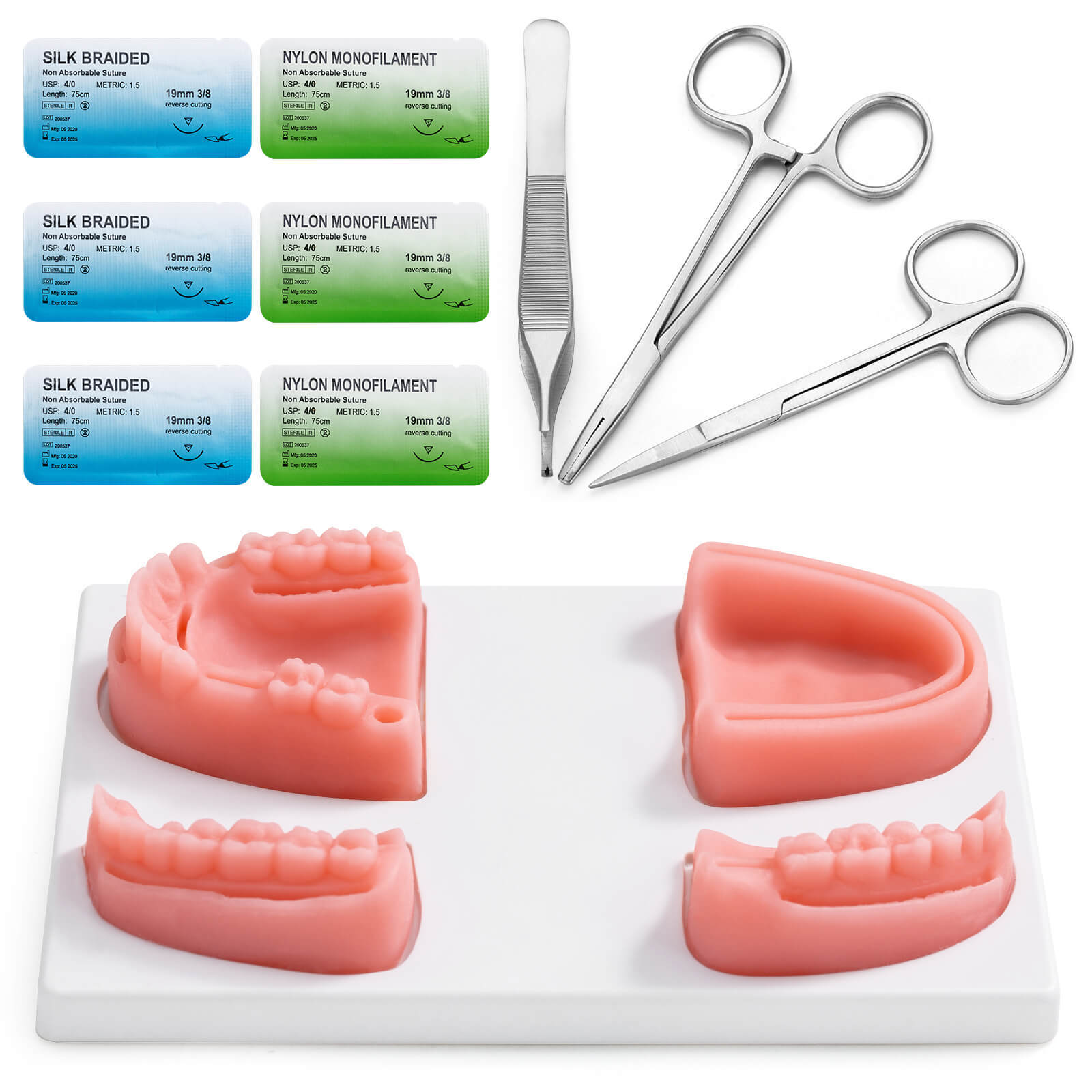 Dental Suture Practice Kit for Gum Cutting & Gingival Suturing – Ultrassist