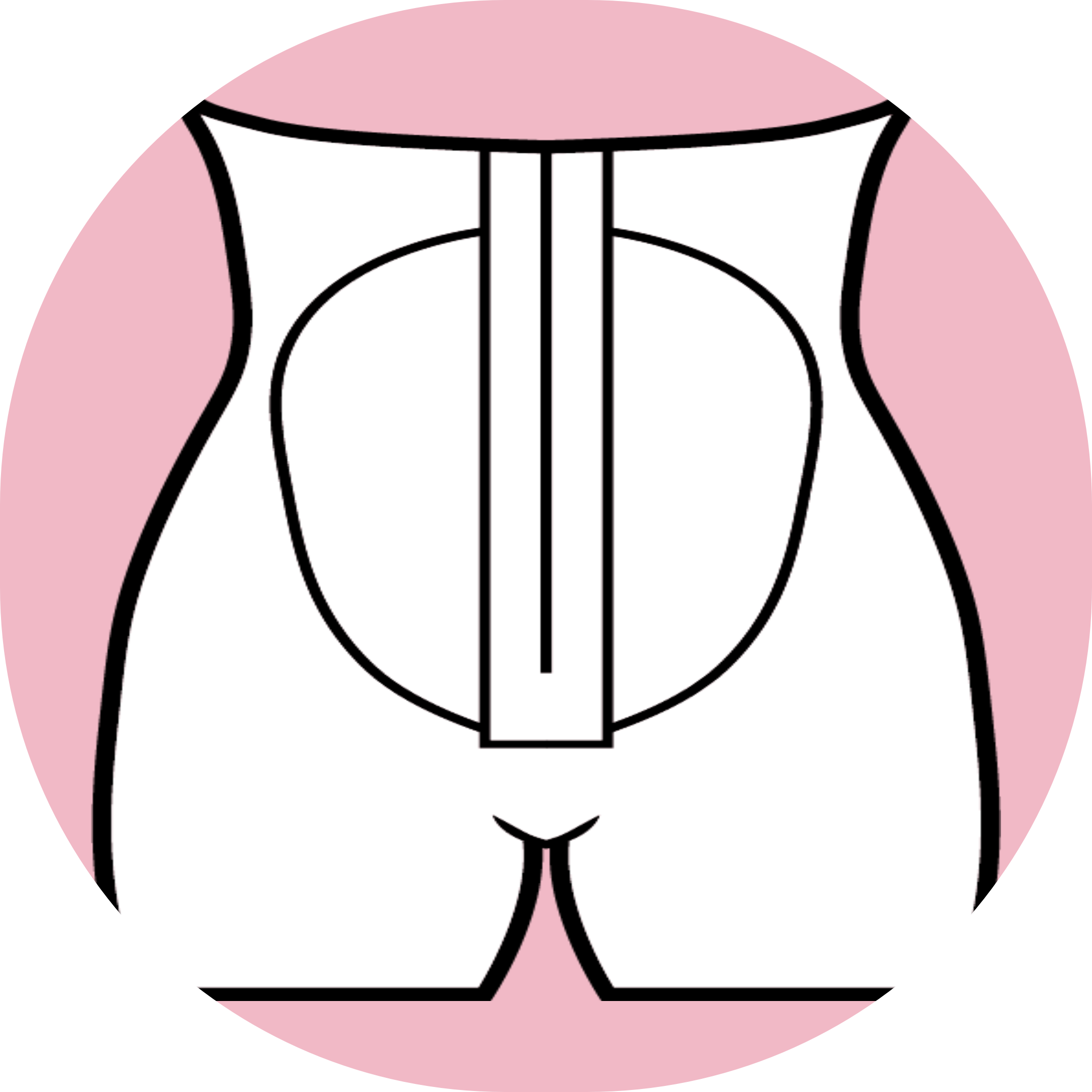 CURVY-FAJA Official Online Store - Free Shipping