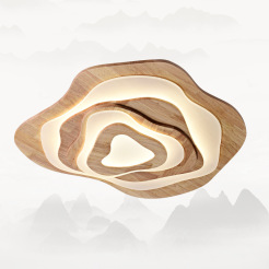 Irregular Solid Wooden Ceiling Light For Living Room-labpiecesign