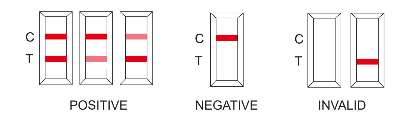 One Step Strep A Rapid Test Cassette — HUBEI MEIBAO BIOTECHNOLOGYCO., LTD