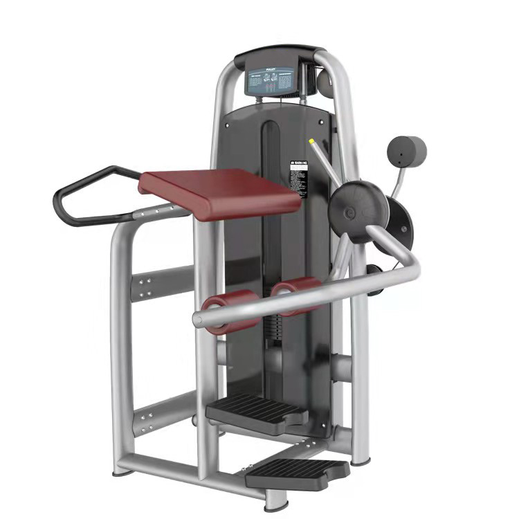 Standing Leg Extension-Kingace Fitness