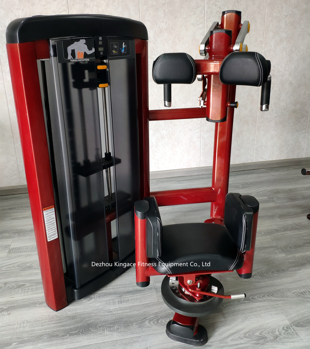 Rotary Torso-Kingace Fitness