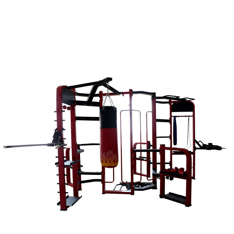 Synergy 360 Multi Function Trainer-Kingace Fitness
