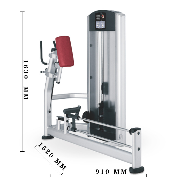 Gym Standing Leg Extension-Kingace Fitness