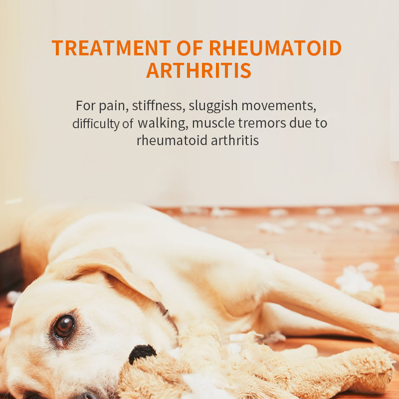 Puainta® Arthritis Chews for Dogs and Cats, Pain Relief In Arthritis