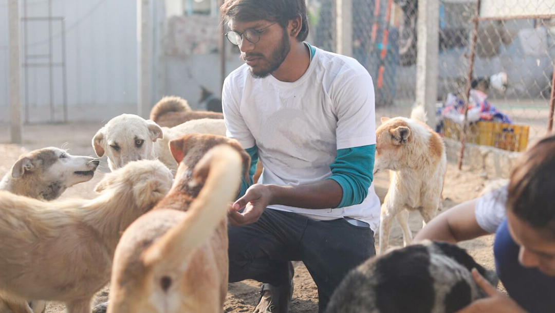 Puainta-Global Leader in Animal Pharmaceuticals for Pet Health & Vet
