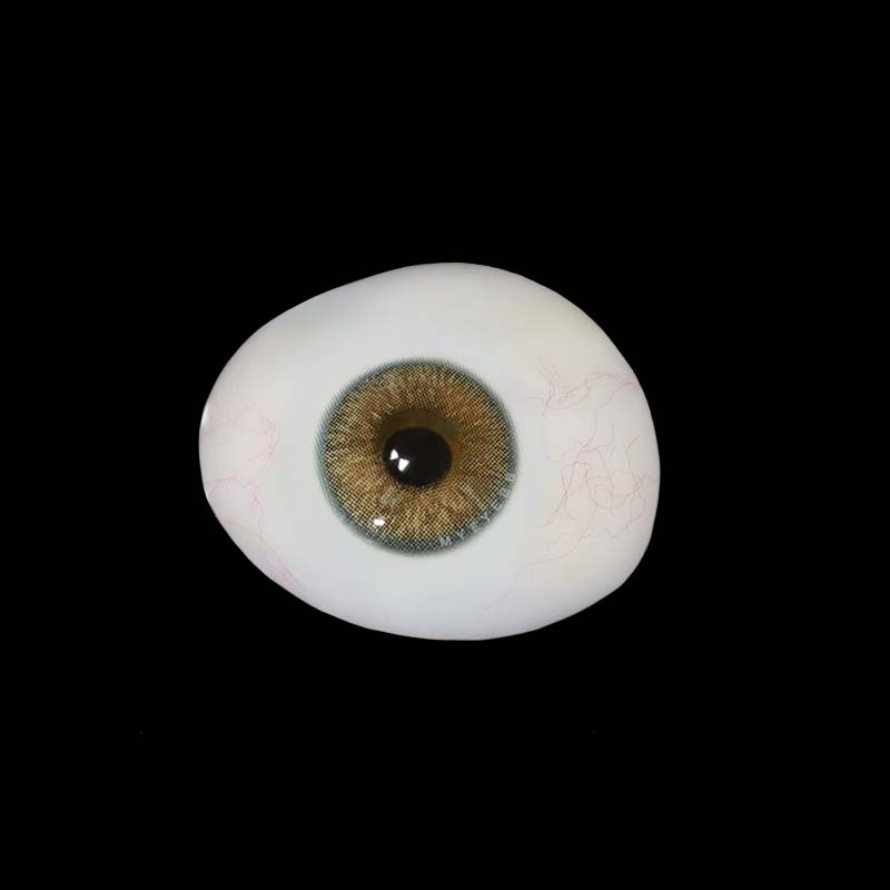 MYEYEBB Genshin Moon Brown Colored Contact Lenses