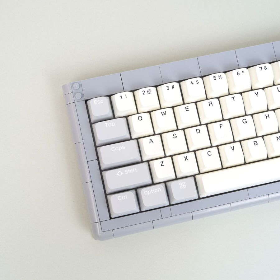 Kit Adam (New Color)