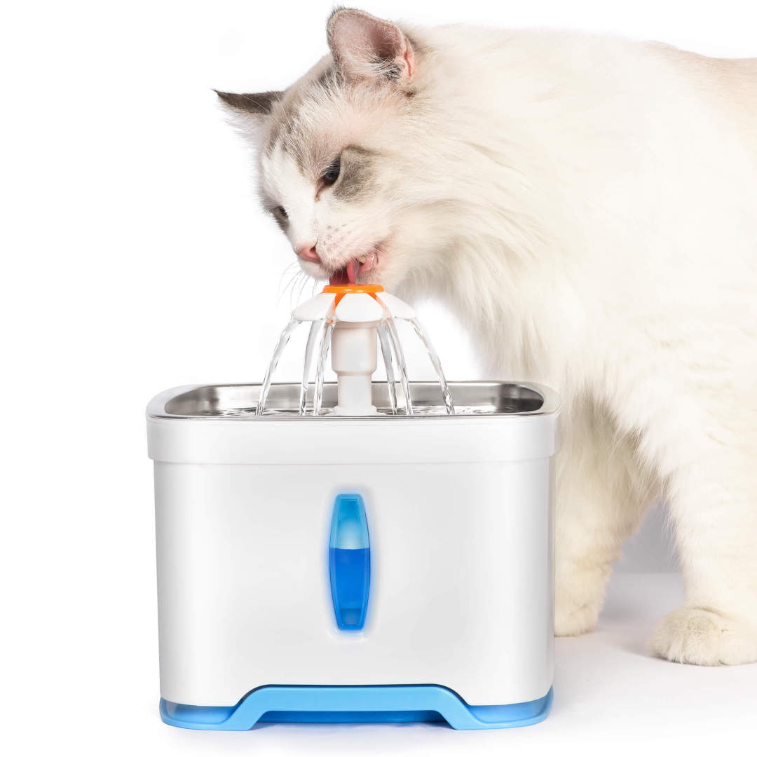 Petwant | Smart Automatic Pet Water Fountain-Petwant.com