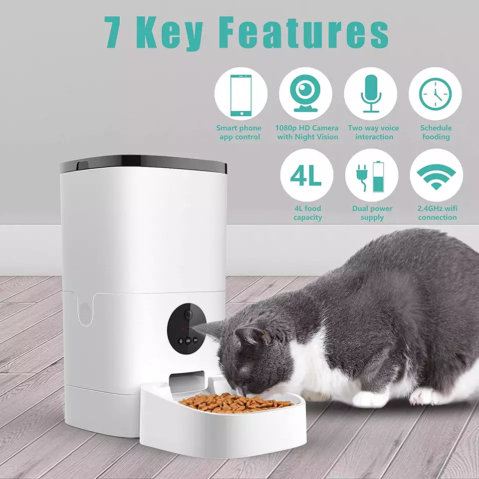2024's Ultimate Guide to the Top 10 Things Cats Adore