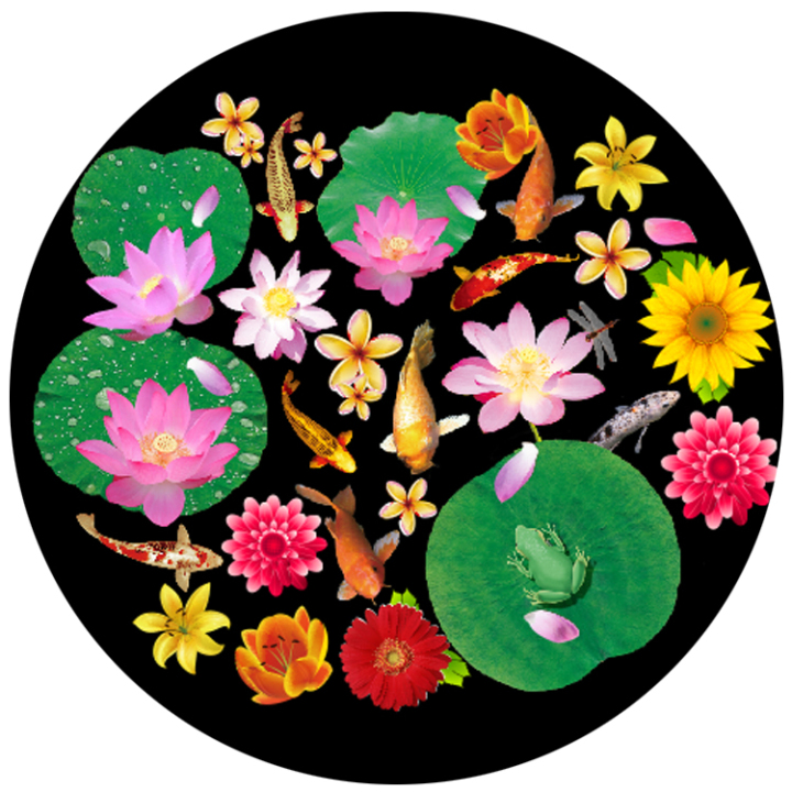 Customized Multi Colors Gobo Lens - Koi Fish- Good Luck!