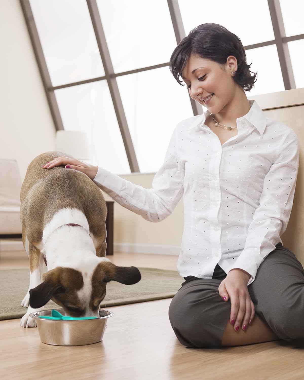 Uah Pet Slow Feeder for Dog Bowl