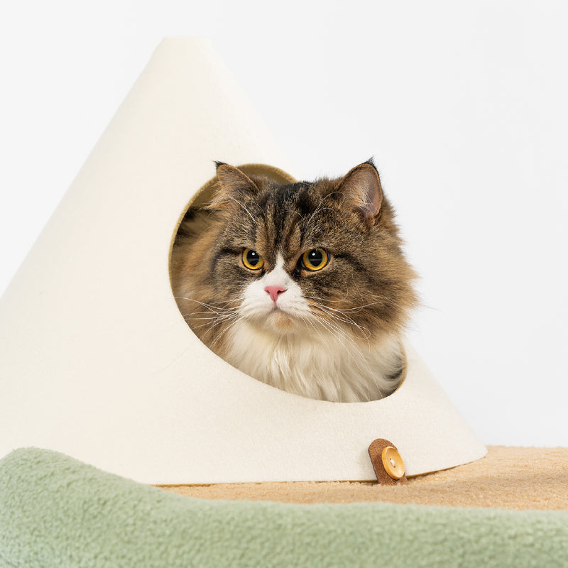 Cat Island