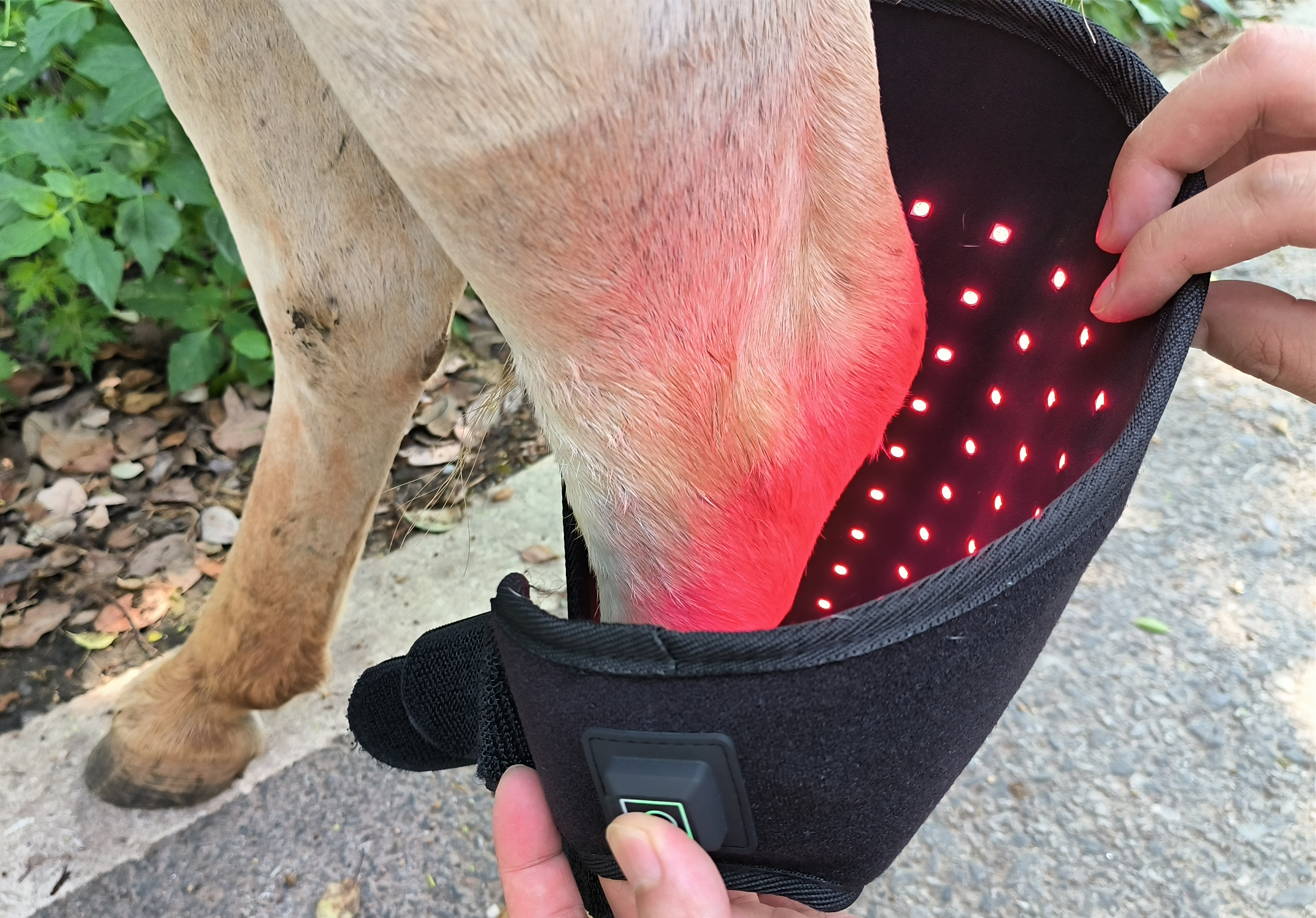 red light therapy-ClinicPBM