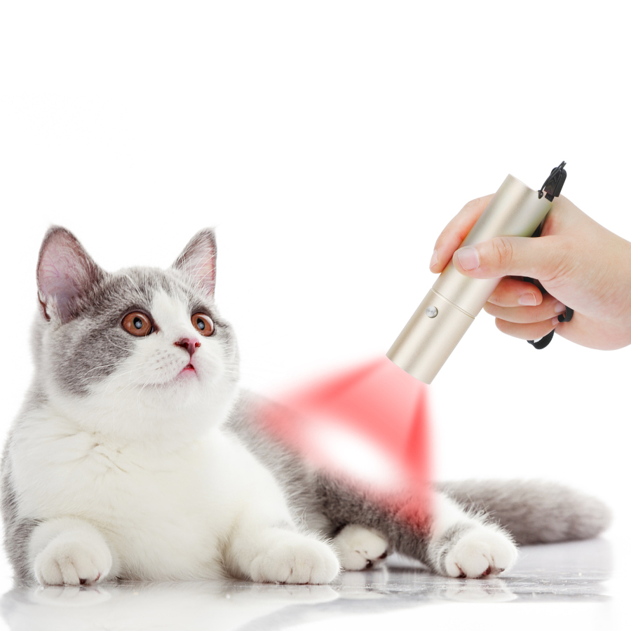 HORSE DOG CAT HANDHELD RED LIGHT THERAPY TORCH (TYPE C CHARGING)