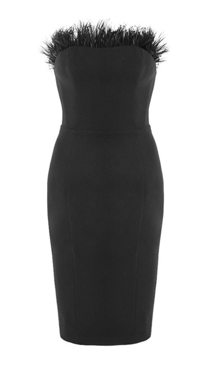 Feather Strapless Dress